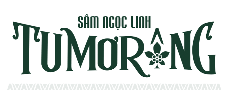 Untra Group – Tập đoàn Untra Group – Lĩnh vực tổ chức sự kiên, du lịch ...